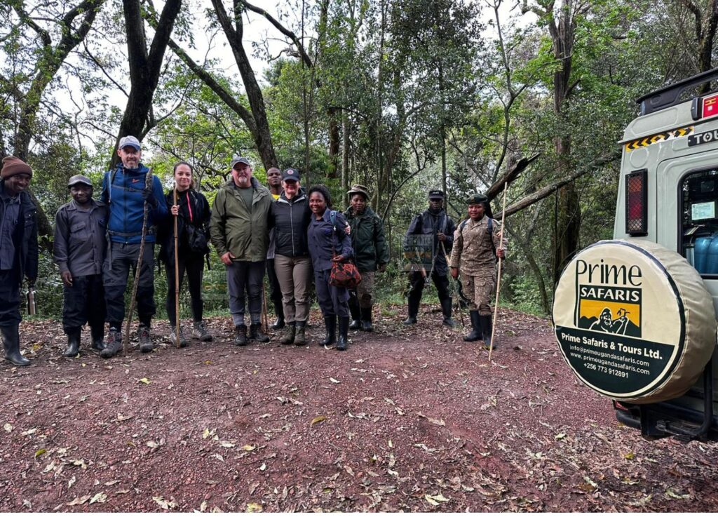 Congo Safaris & Tours, Gorilla Trekking Safari in Congo, Trip Vacations